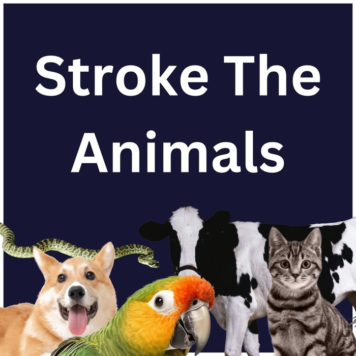 Stroke The Animals · Игры PlayStation · FORZOREZOR.store